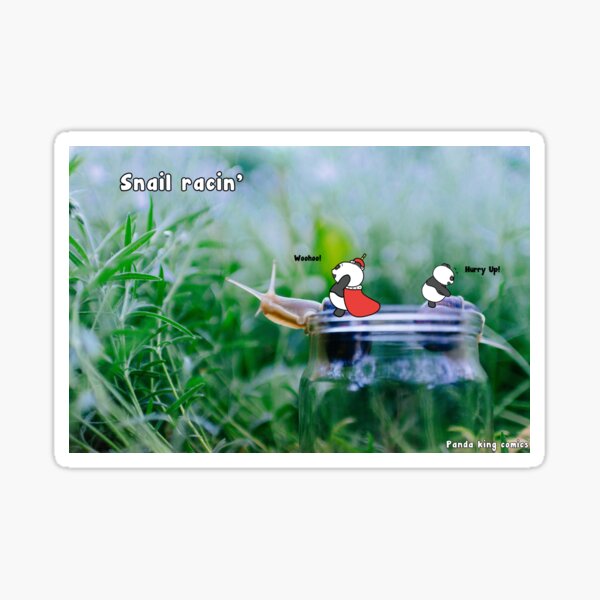 "Snail Racin'" Sticker for Sale by PandaKingJosh | Redbubble