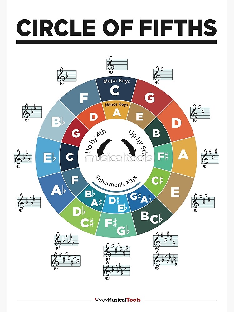 Circle of fifths Music Premium Matte Vertical Poster sold by Matt | SKU 40849851 | Printerval