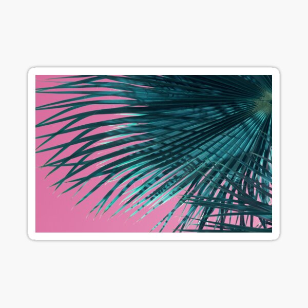 "Palm frond and pink sky, summer on the beach" Sticker for Sale by ...