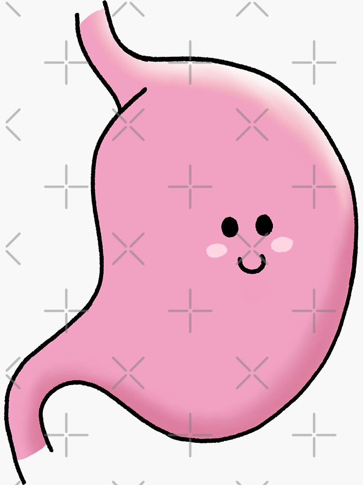 "Stomach | Tummy" Sticker for Sale by olivierxx33 | Redbubble