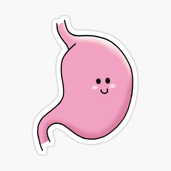 "Stomach | Tummy" Sticker for Sale by olivierxx33 | Redbubble