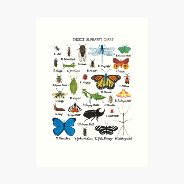 Vintage Insect Alphabet Chart Poster Art Print For Sale By Sambletraci Redbubble