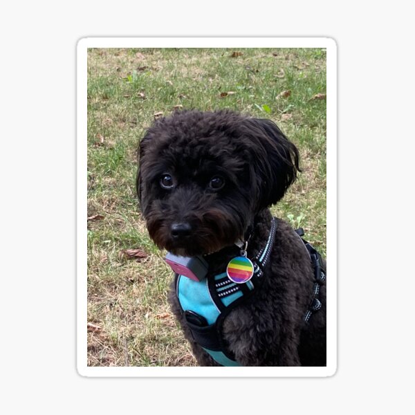 "Lulu" Sticker for Sale by BOBBYBABE | Redbubble