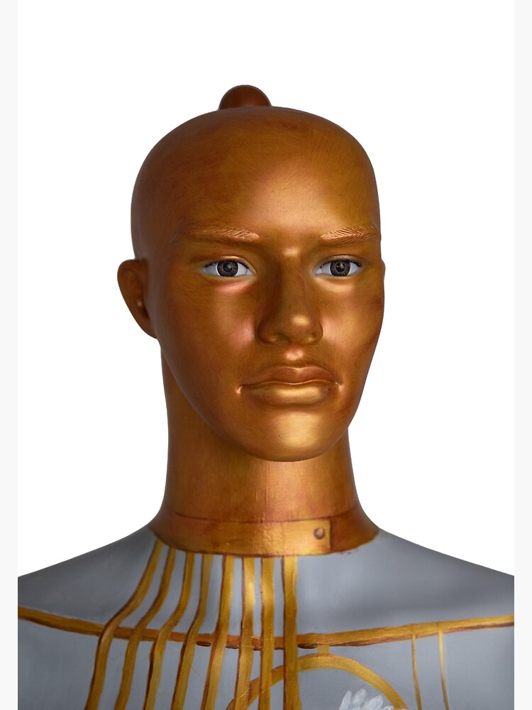 Manikin Art For Sale at Jo Diggs blog