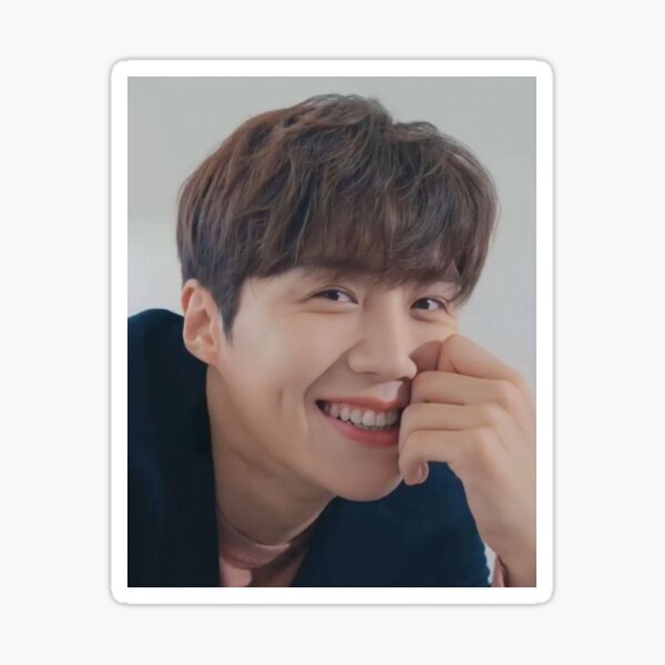 "kim seon ho" Sticker for Sale by panpan10 | Redbubble