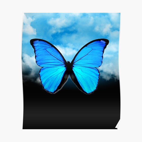 "butterfly blue océan nature colors" Poster for Sale by ourastore ...
