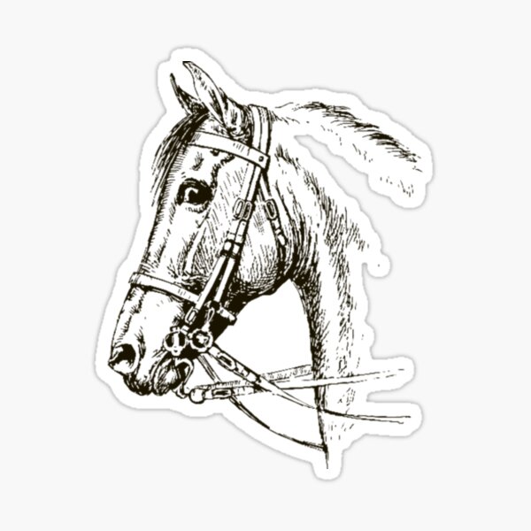 "horse with beautiful eyes" Sticker for Sale by mikedisign1 | Redbubble