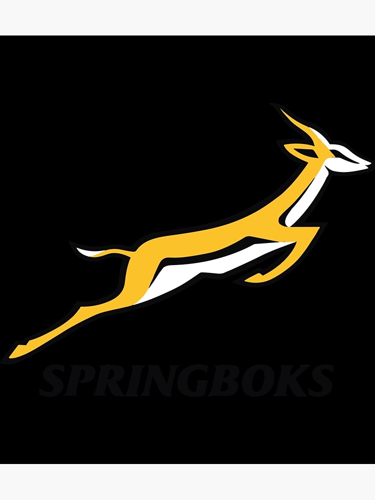 "Springboks Rugby 2019 Springbok Rugby World Cup Champions Aufkleber ...