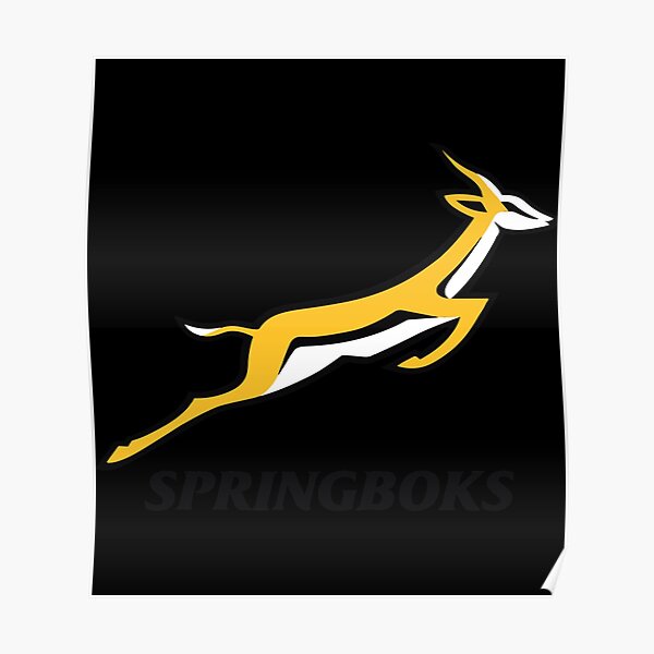"Springboks Rugby 2019 Springbok Rugby World Cup Champions Aufkleber ...