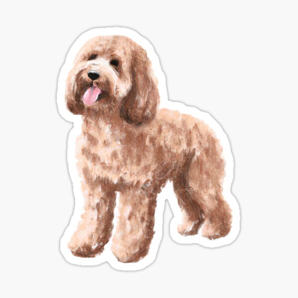 "Cockapoo Dog" Sticker for Sale by MattJ-Designs | Redbubble