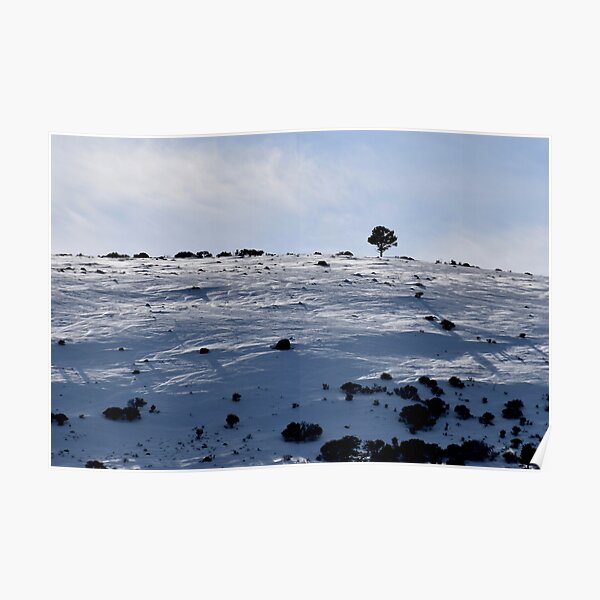 "Sentinel" Poster for Sale by SconzoBrothers | Redbubble