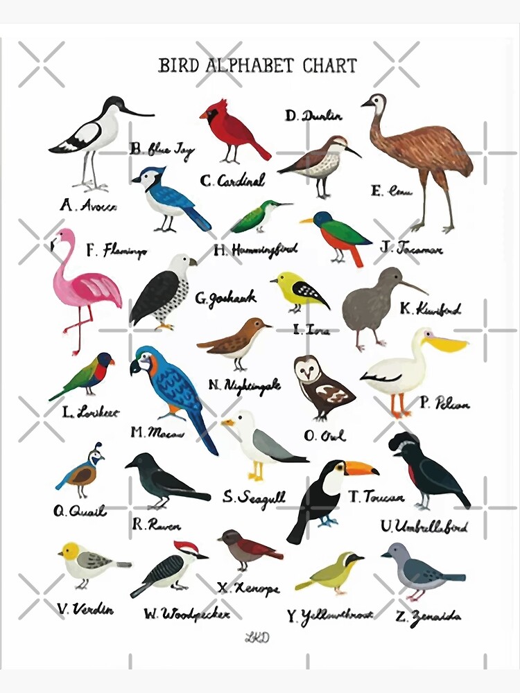 "Funny Back To School Hi Alphabet Pre K Kindergarten Teacher | Cute ...