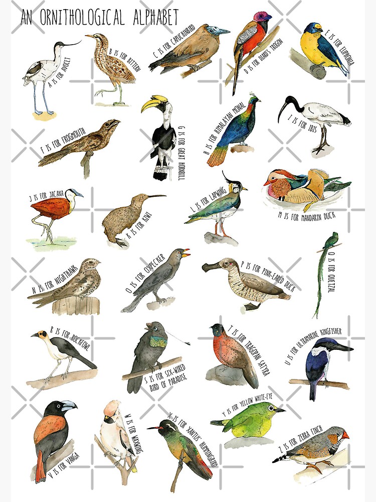 "Funny Back To School Hi Alphabet Pre K Kindergarten Teacher | Cute ...