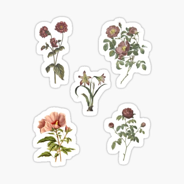 "Aesthetic Vintage Flower Sticker Pack" Sticker for Sale by vibe ...