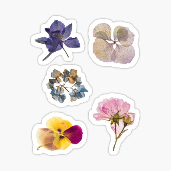 "Aesthetic Pressed Flowers Sticker Pack 2" Sticker for Sale by vibe ...