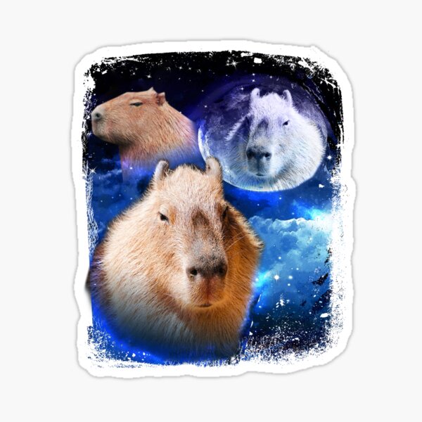 "Capybara meme" Sticker for Sale by NNNostalgia | Redbubble
