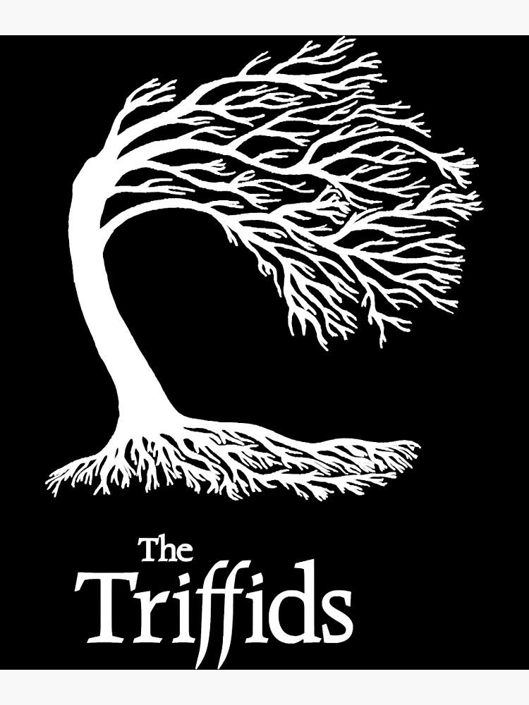 Lienzo «Árbol y logotipo de Triffids en blanco - árbol de Martyn P ...