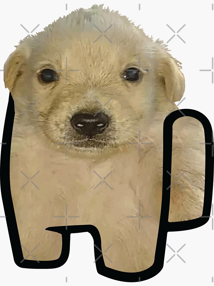 Pegatina «Jotchua Dog mogus Meme - HD» de Rzera- | Redbubble