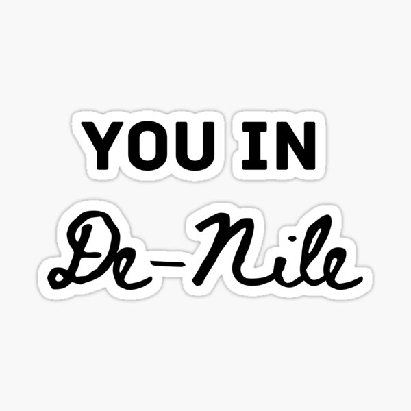 "you in denial" Sticker for Sale by ApulseAndAdream | Redbubble