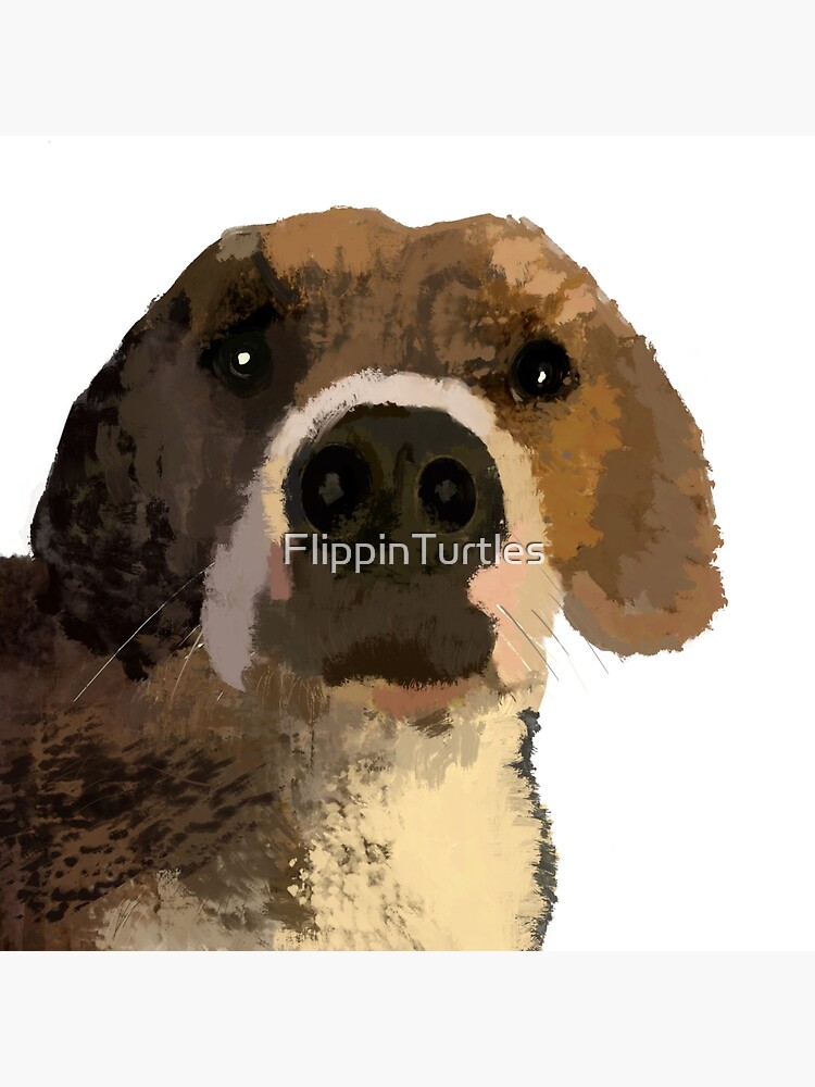 Póster «Cory Dog el Beagle Mutt con fondo blanco» de FlippinTurtles ...