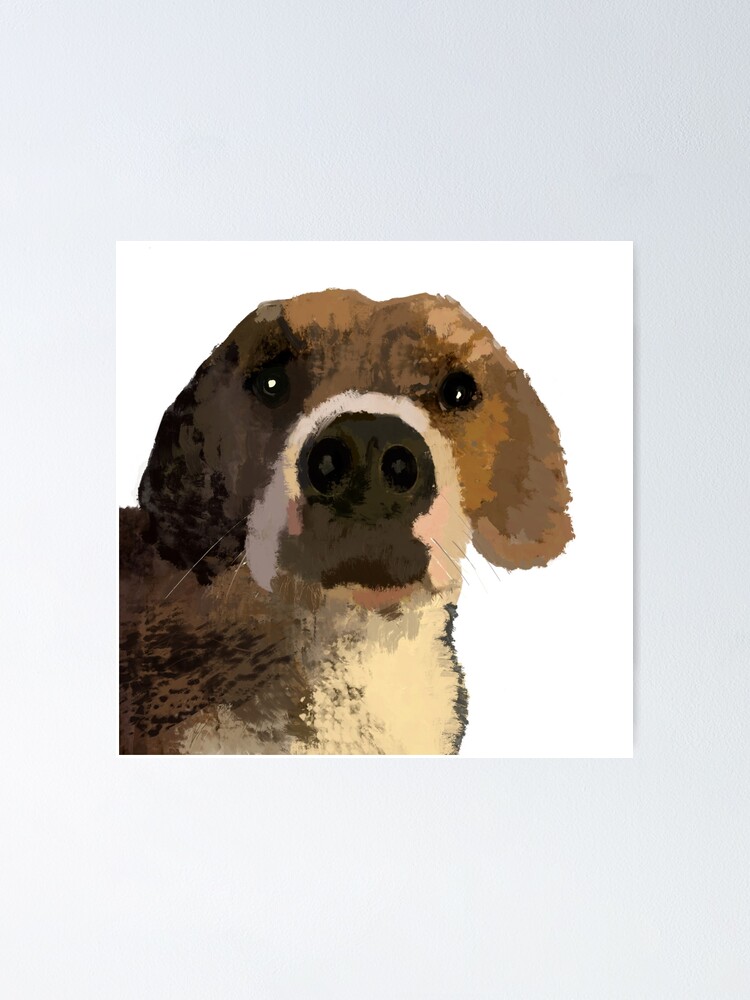 Póster «Cory Dog el Beagle Mutt con fondo blanco» de FlippinTurtles ...
