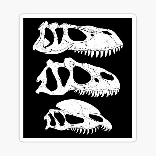 "Torvosaurus Allosaurus Dilophosaurus fossil" Sticker for Sale by ...