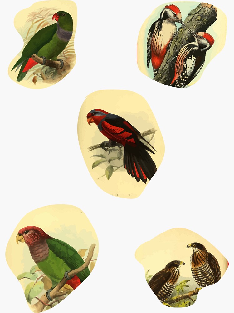 "Vintage birds sticker pack design" Sticker for Sale by DopeDesign111 ...