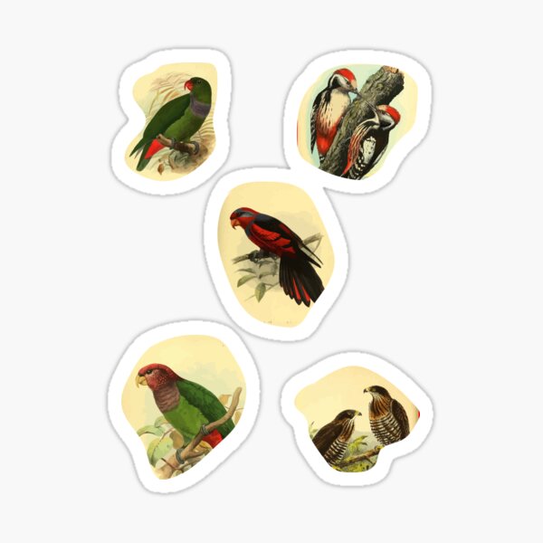 "Vintage birds sticker pack design" Sticker for Sale by DopeDesign111 ...