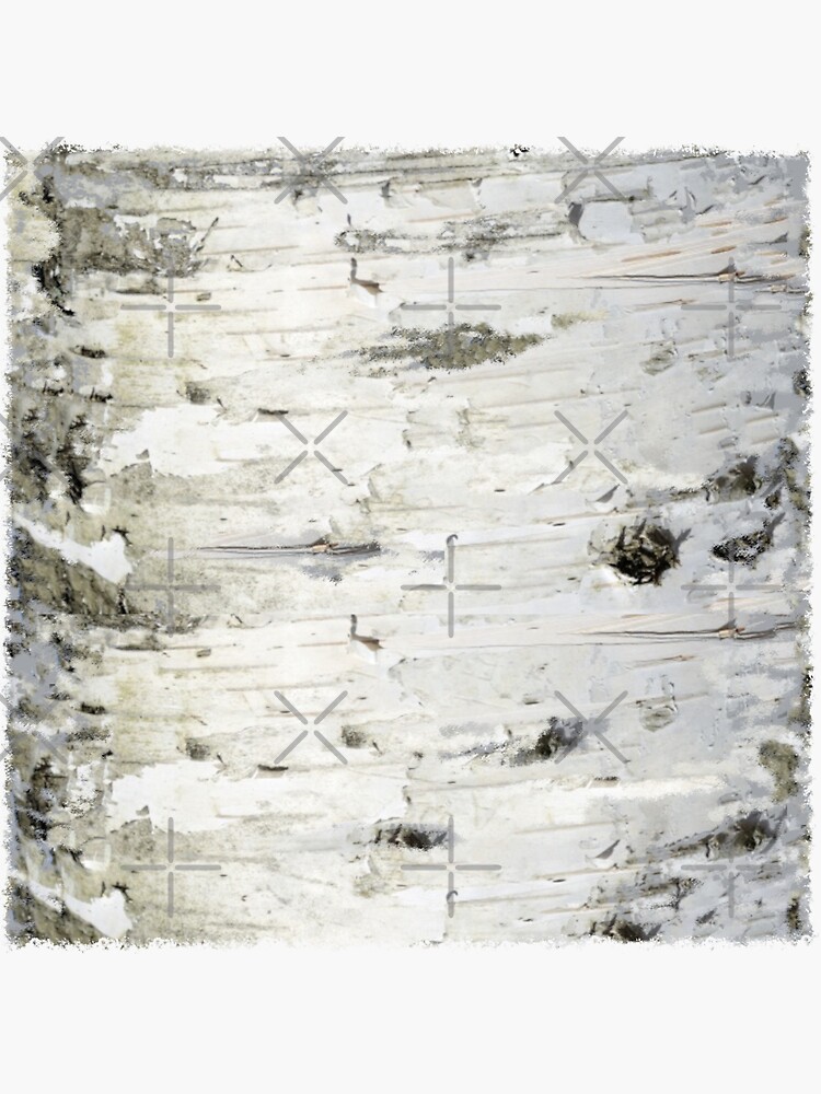 "Silver Birch Tree Bark Design, Great For Outdoorsy People" Sticker for ...