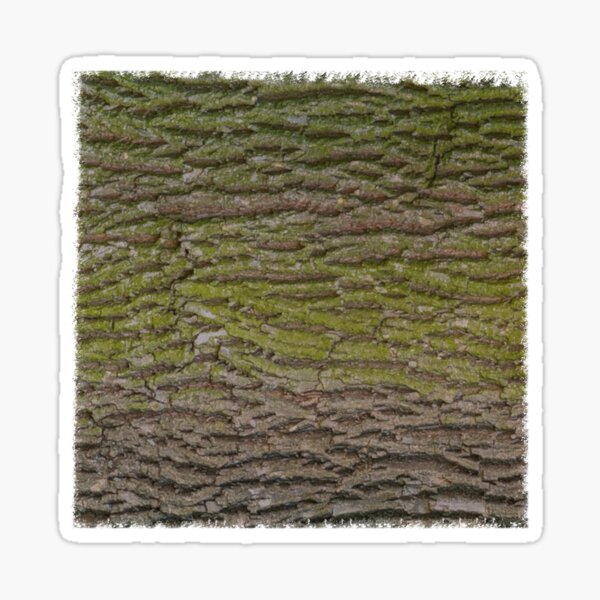"Tree Bark Design, Great For Outdoorsy People" Sticker for Sale by ...