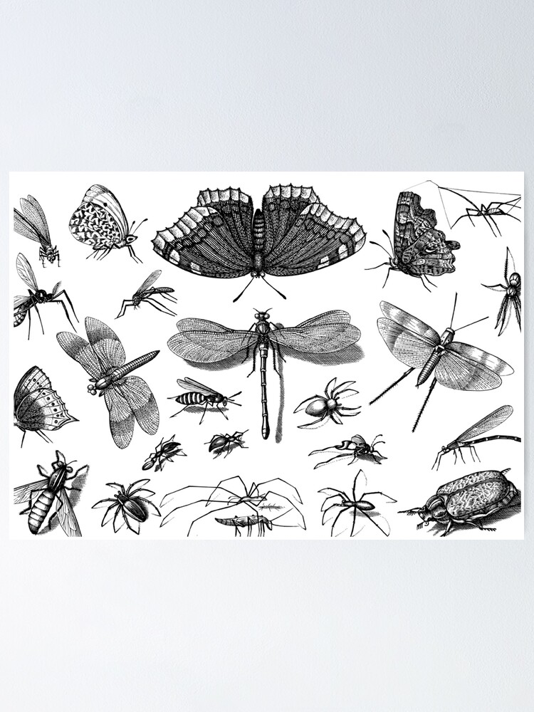 "The Retro Insect Moth Poster, 80s and 90s Nostalgia Libelle Pattern ...