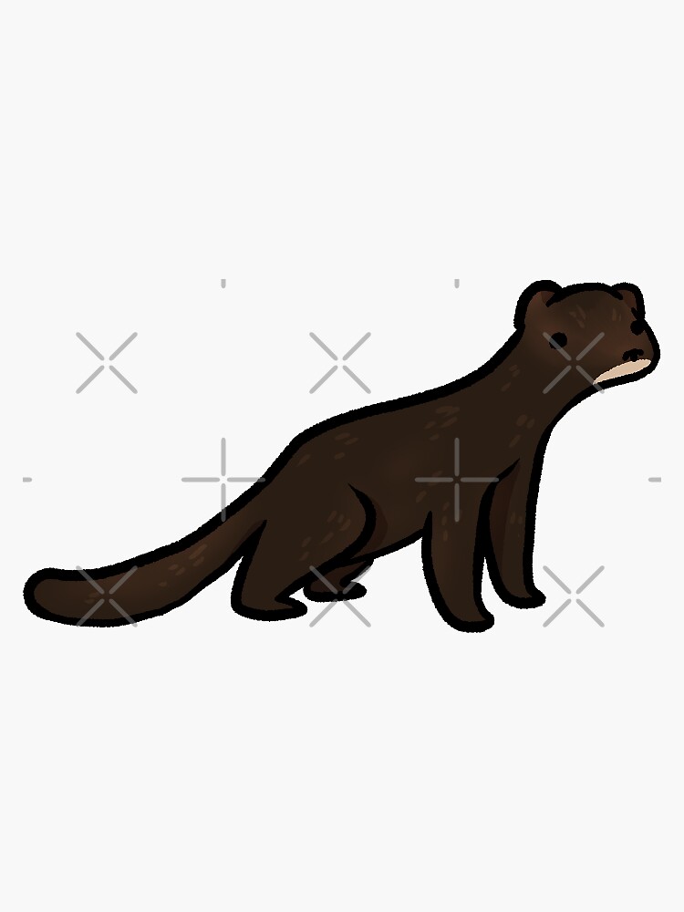 "An Adorable Mini Mink " Sticker for Sale by SydneyMaeBee | Redbubble