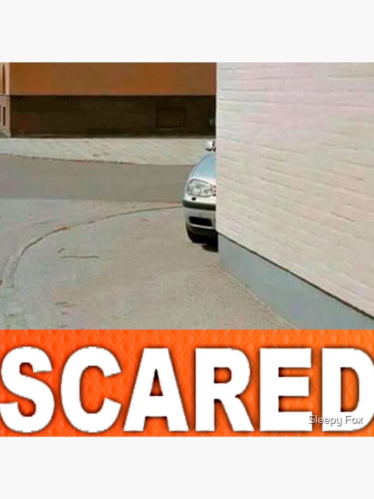 "SCARED car" Sticker by innerspeaker420 | Redbubble