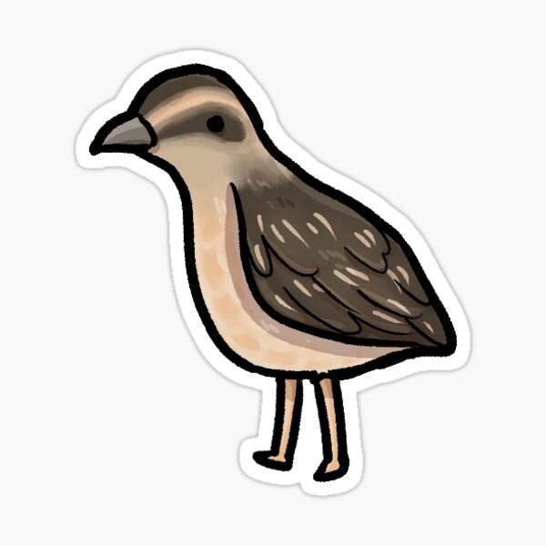 "Quite Cute Little Quail" Sticker for Sale by SydneyMaeBee | Redbubble