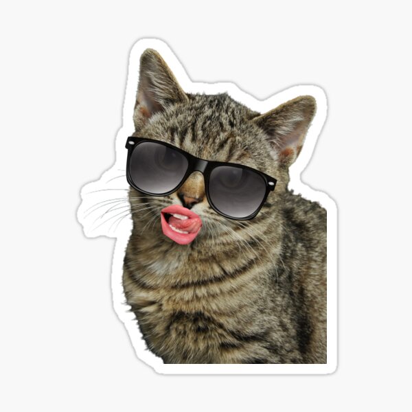"cat funny meme" Sticker for Sale by LuyBestDesign | Redbubble