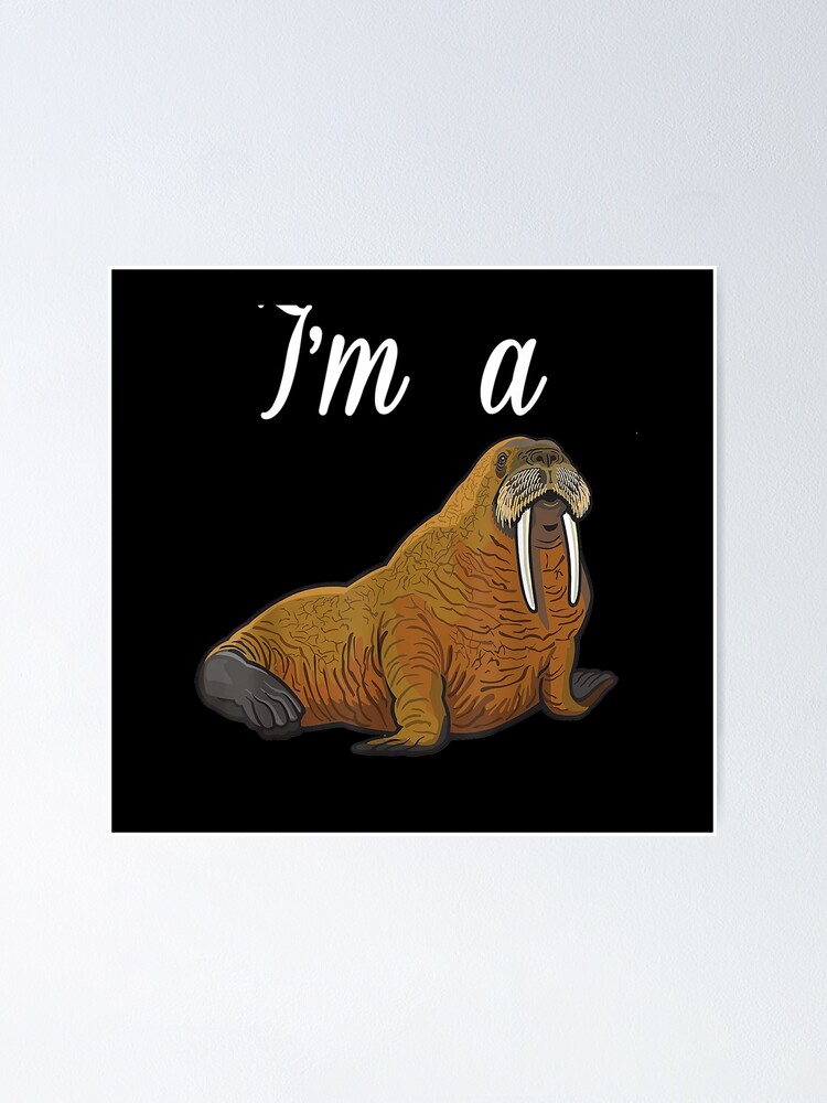 "Cute Walrus Animal" Poster for Sale by ScarlettAlex | Redbubble