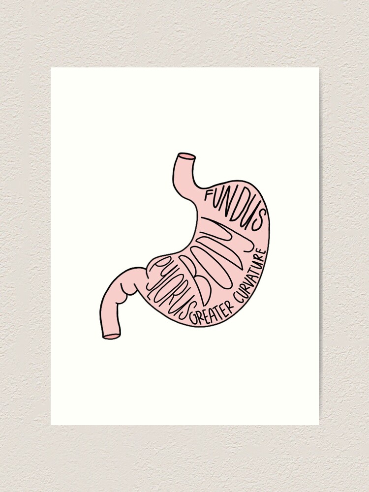 "Labeled Stomach" Art Print for Sale by princesssomo21 | Redbubble