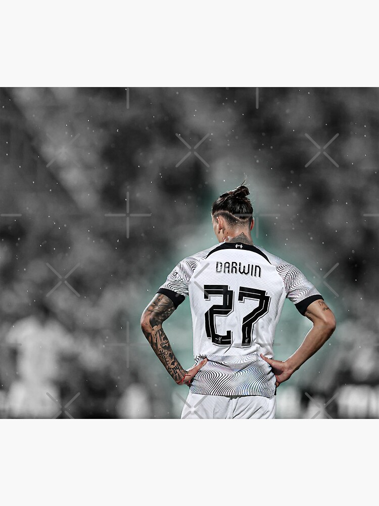 "Darwin Nunez Liverpool" Sticker for Sale by Zgjimi17 | Redbubble