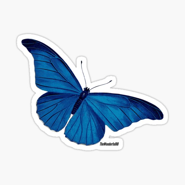 "Blue Butterfly" Sticker for Sale by TheWonderful00 | Redbubble