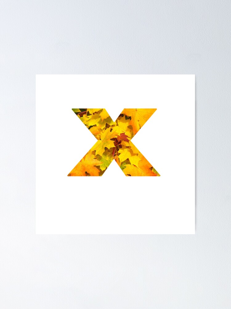"X letter" Poster for Sale by skGY | Redbubble
