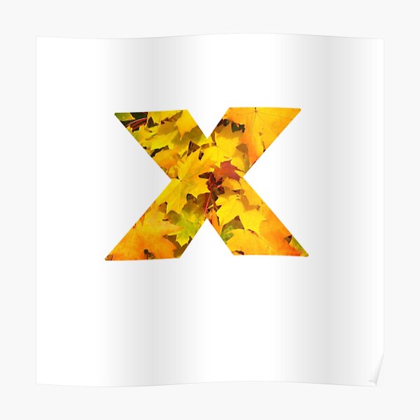 "X letter" Poster for Sale by skGY | Redbubble