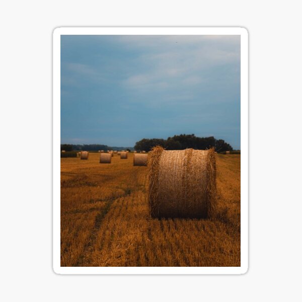 "Hay bales in the field" Sticker for Sale by Kaversys | Redbubble