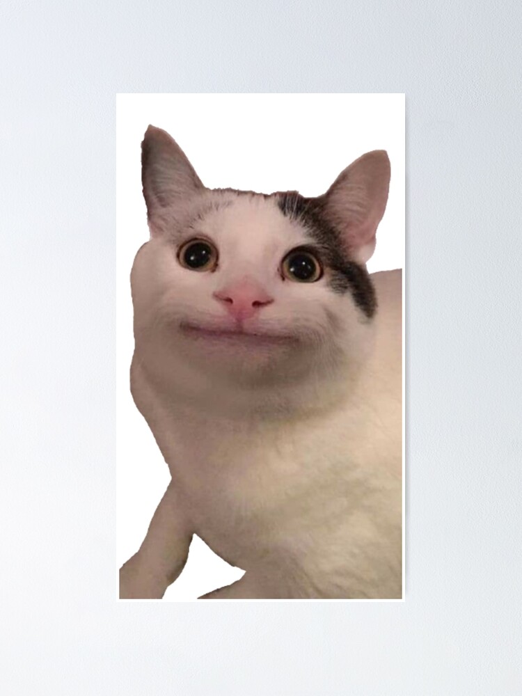 Funny Cat Meme Poster For Sale By Pusla Redbubble