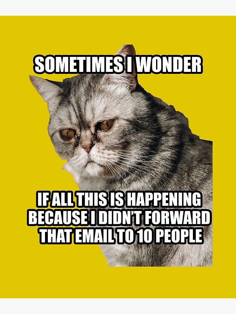 "Sometimes I wonder Cat Meme Quote" Poster for Sale by Funny-Meme-Tee ...