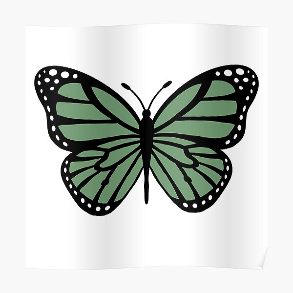 "Green butterfly" Poster for Sale by KristenST | Redbubble