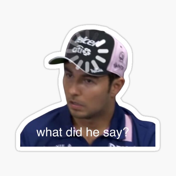 "What did he say meme" Sticker for Sale by briellecambias | Redbubble
