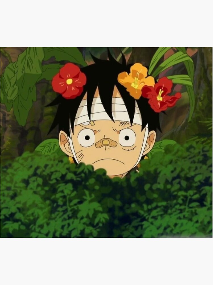 "Luffy One Piece Kid Hiding" Sticker for Sale by cyralavy | Redbubble
