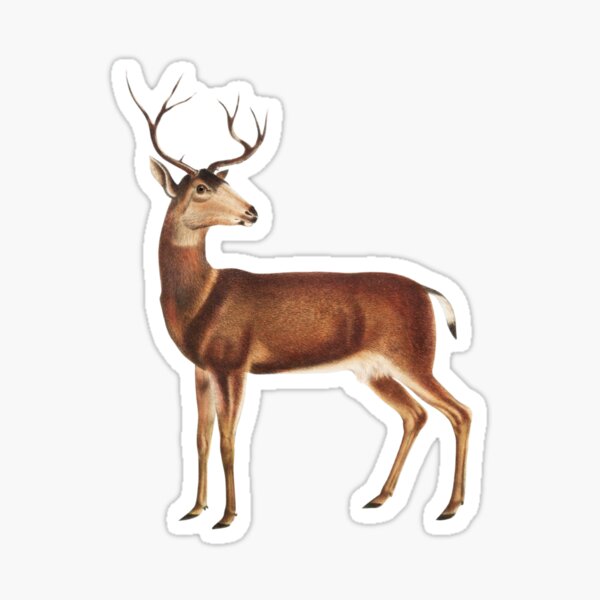 "Vintage Young Buck" Sticker for Sale by Crixium | Redbubble