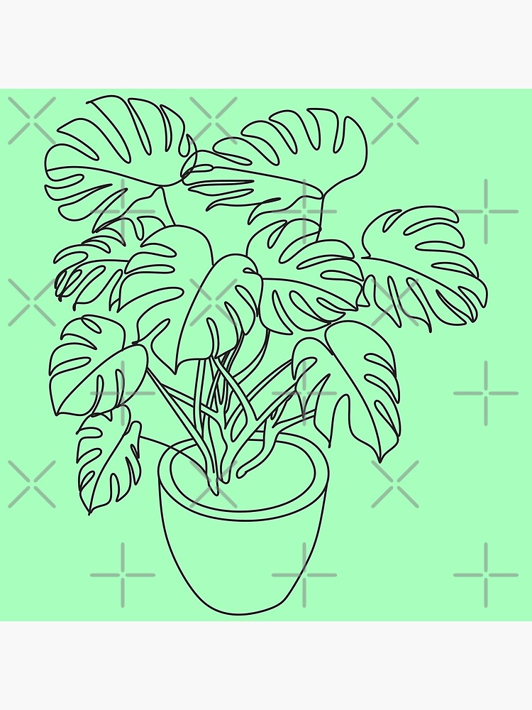 "Monstera Line Drawing, Home Plant Line art vector, Minimalist nature ...