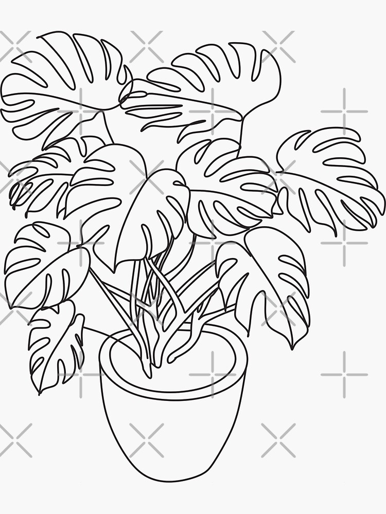 "Monstera Line Drawing, Home Plant Line art vector, Minimalist nature ...